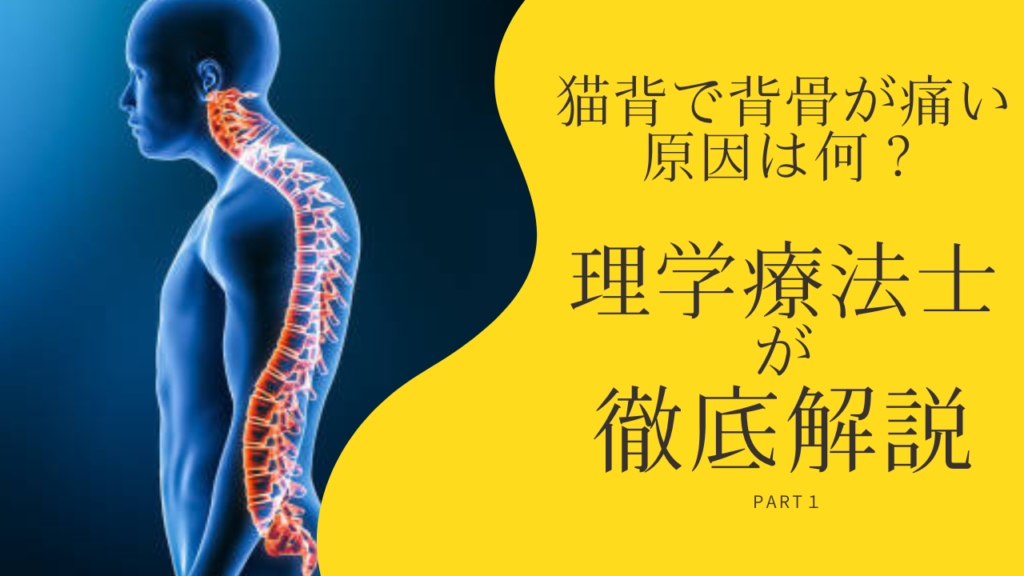 猫背で背骨が痛い原因は何？理学療法士が徹底解説part① | LEAP Physio Lab.